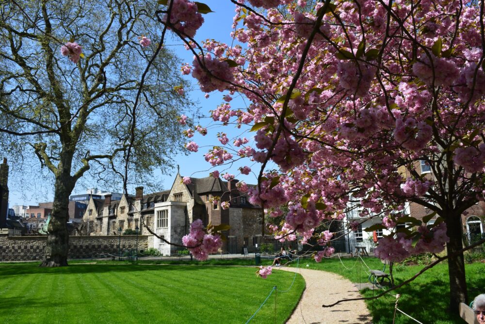 Summer Parties | Charterhouse Square Events