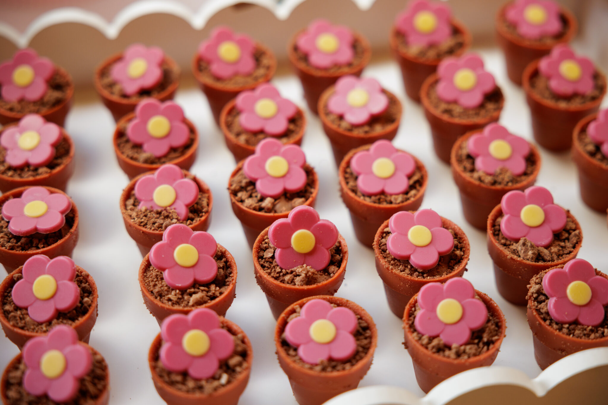 Summer Parties | Charterhouse Square Events